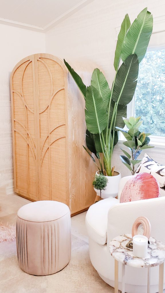 The Top 6 Best Plants for Interior Design Styling - coucoucali.com